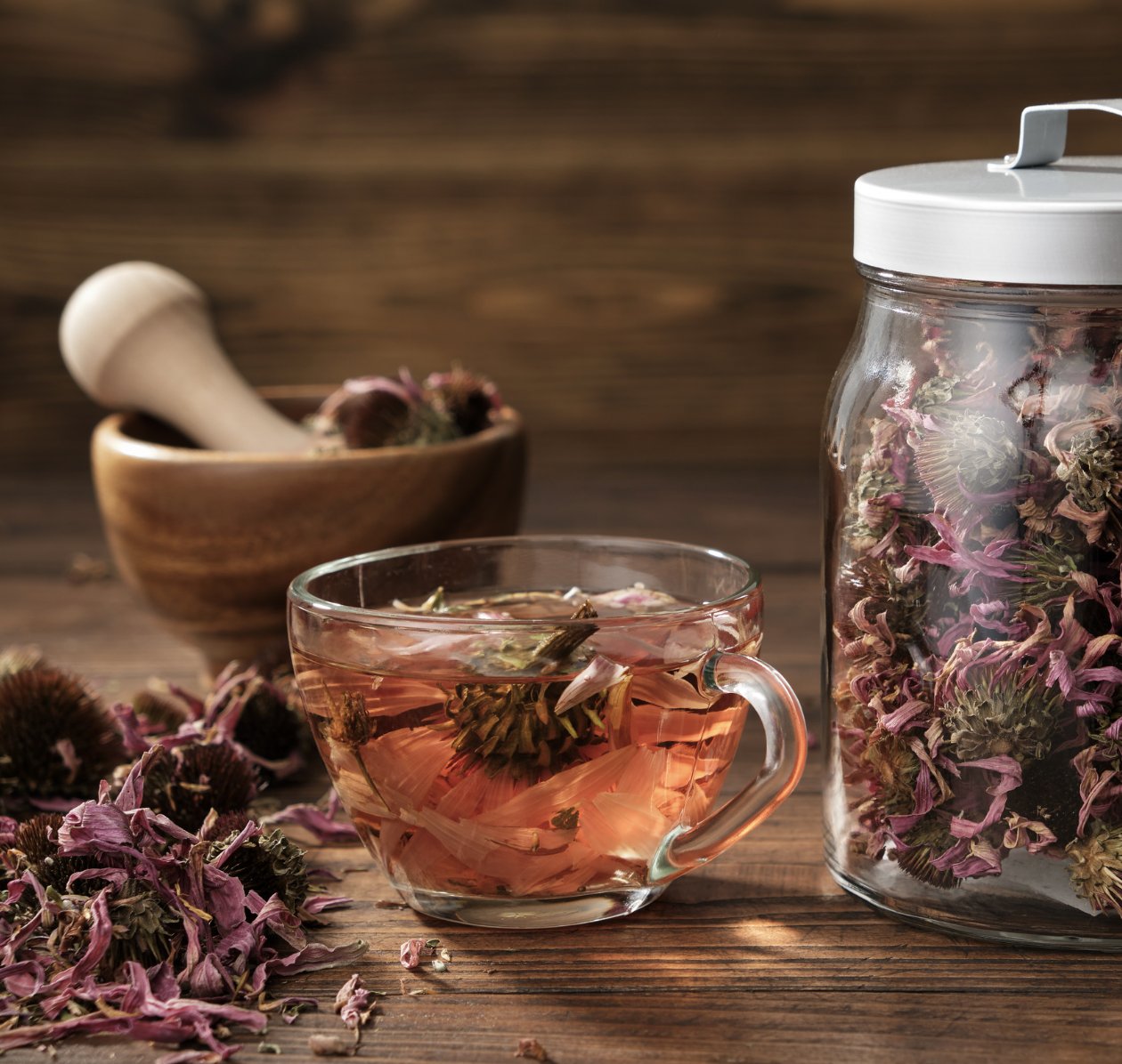 Tea & Infusions – Midnight Sun